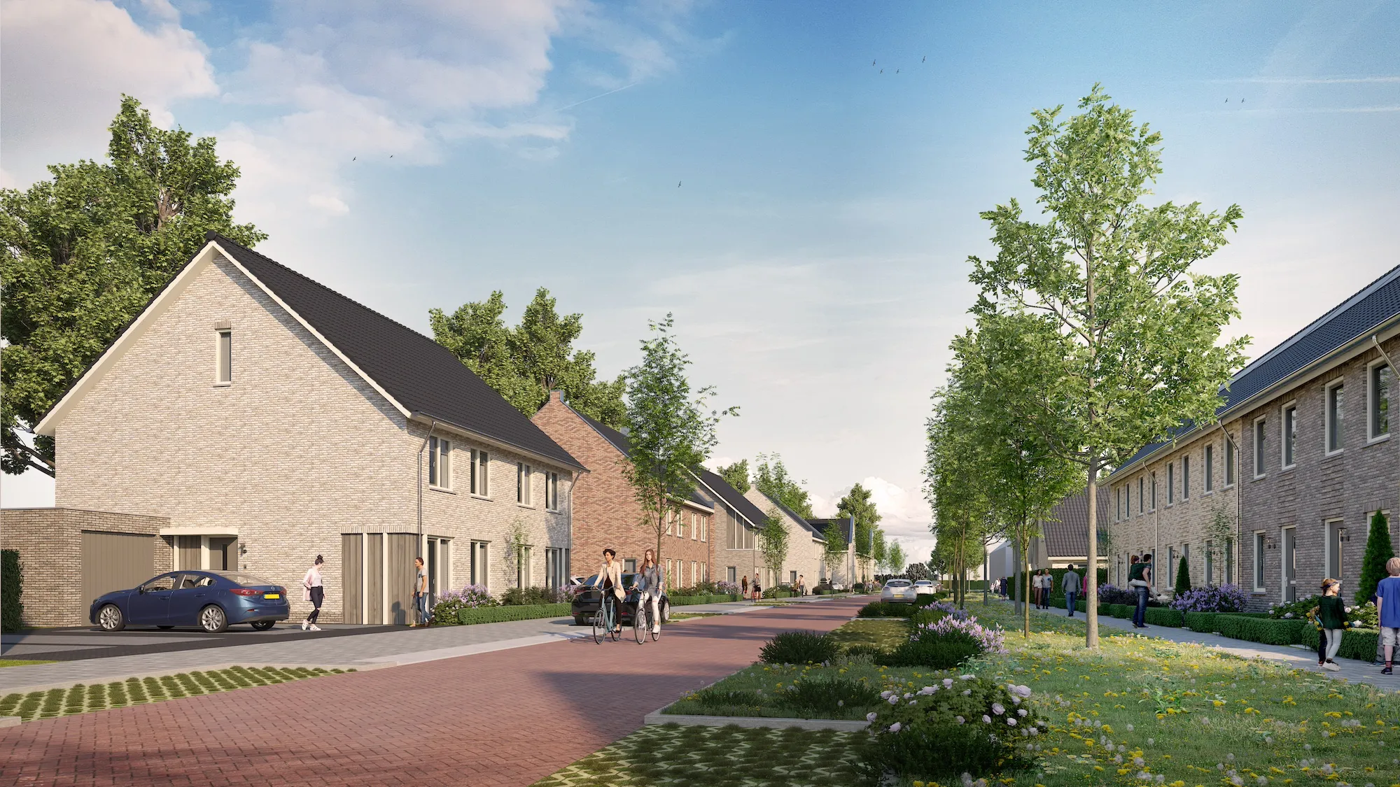 Home - Hofwyck Rengers